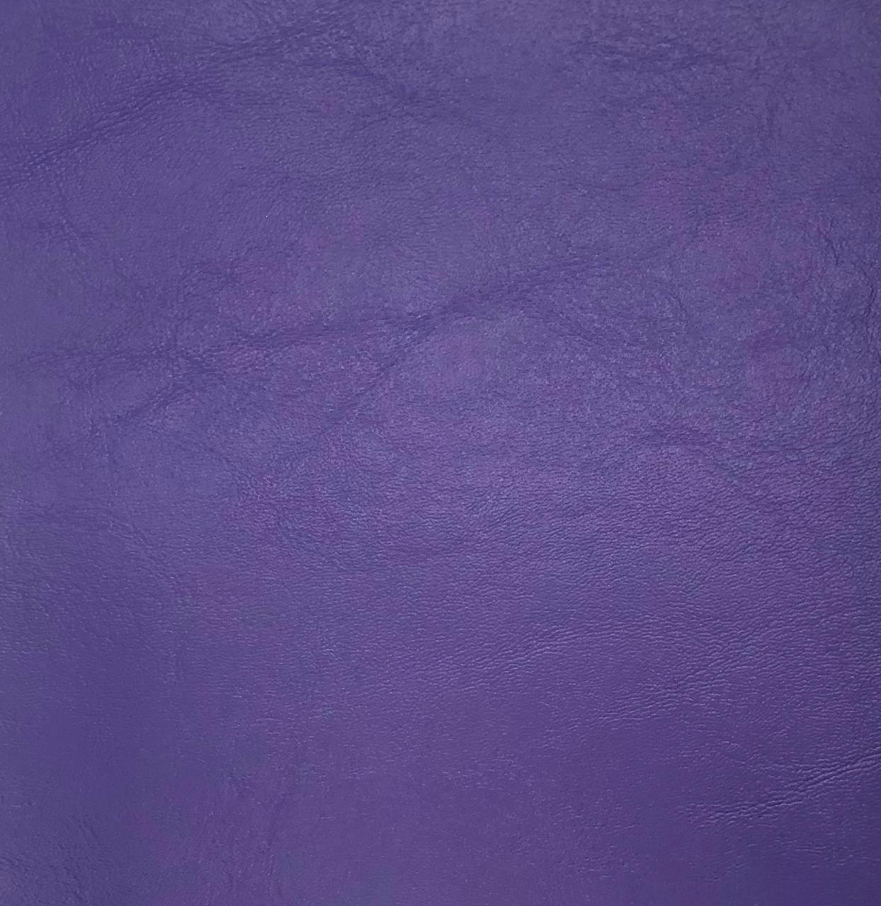 Camarena Tapizarte: Wallaby Marine